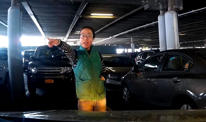 ny-woman-tries-to-save-parking-space-by-standing-in-it-refuses-to-move-for-actual-cars
